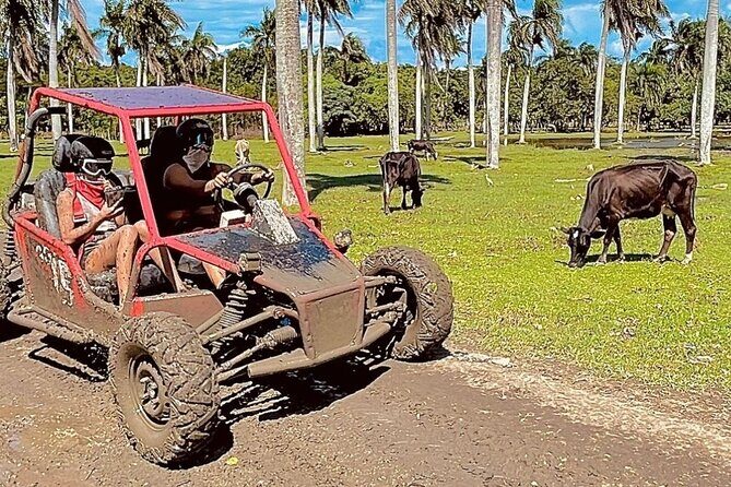 Dune Buggy Adventure from Amber Cove and Taino Bay Puerto Plata - FAQ