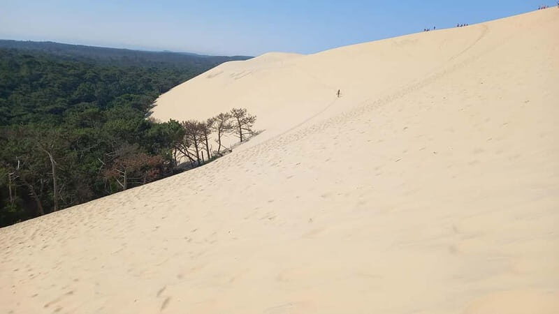 Dune du Pilat, Oysters Tasting and Arcachon! What else ? - Discover the Charm of the Dune du Pilat, Oyster Tasting, and Arcachon