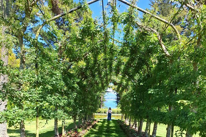 Dunedin and Otago Peninsula Tours For Up To 4 people - An In-Depth Look at the Dunedin & Otago Peninsula Tour