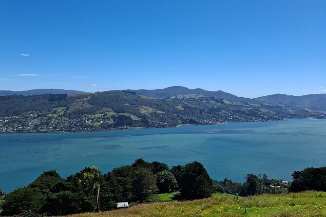 Dunedin and Otago Peninsula Tours For Up To 4 people - Final Thoughts
