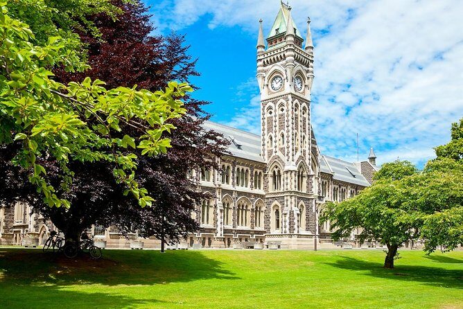 Dunedin City and Coastal Views 3-Hour Small-Group Guided Tour - Transportation and Group Size: Why It Matters