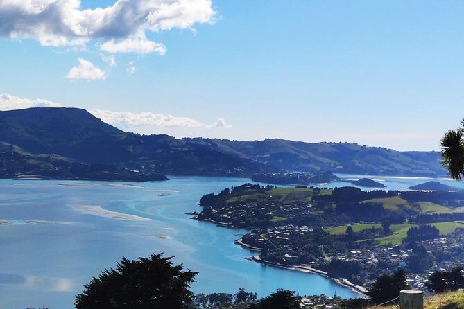 Dunedin City and Coastal Views 3-Hour Small-Group Guided Tour - The Price and Its Value