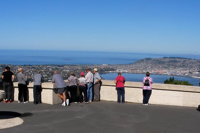 Dunedin City and Coastal Views 3-Hour Small-Group Guided Tour - Who Should Consider This Tour
