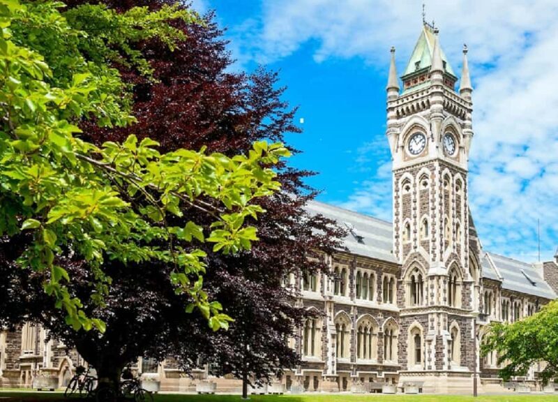 Dunedin City & Coastal Views 3-Hour Small-Group Tour - Why You Might Want to Book This Tour