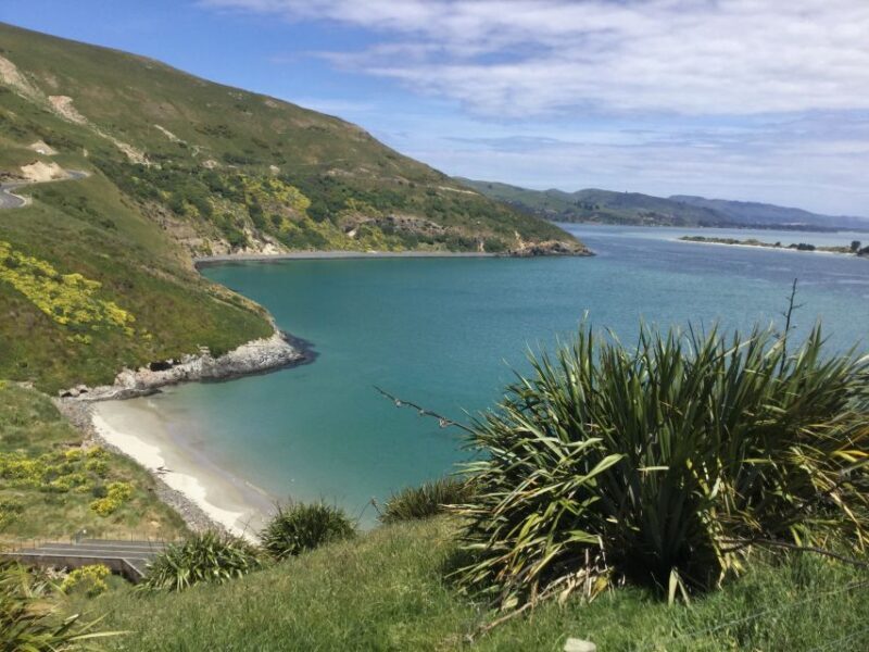 Dunedin: City Highlights and Otago Peninsula Scenery - The Itinerary in Detail
