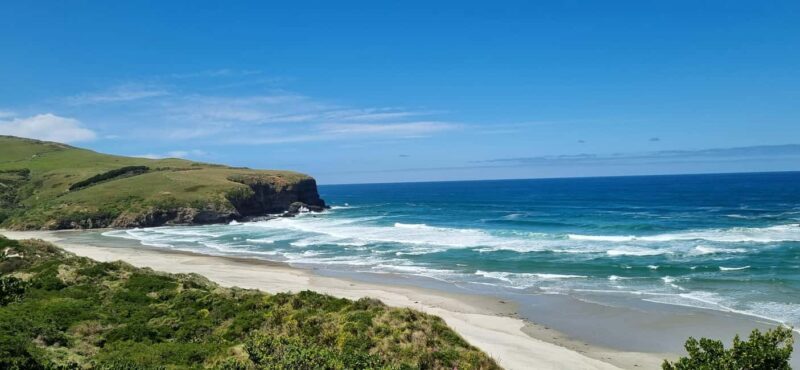 Dunedin City Highlights & Larnach Castle Tour - Key Points