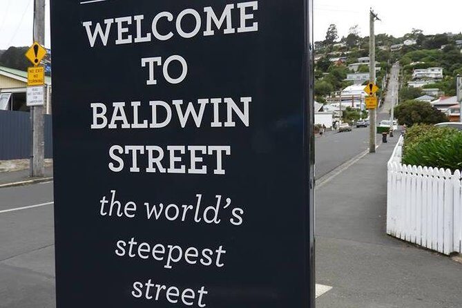 Dunedin City Highlights, Otago Peninsula Scenery & Albatross Guided Tour - Introduction: Why This Tour Stands Out
