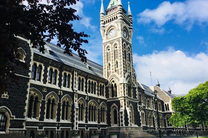 Dunedin City Highlights, Otago Peninsula Scenery & Albatross Guided Tour - Authentic Insights from Travelers
