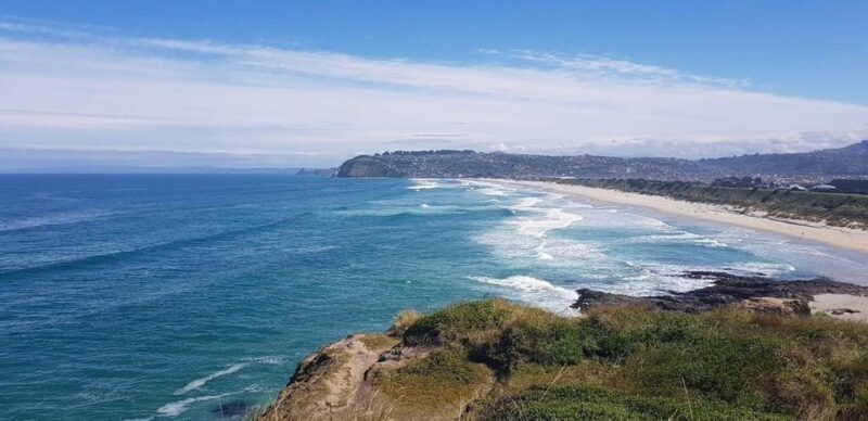 Dunedin City & Otago Peninsula Scenery Day Tour - An Overview of the Dunedin & Otago Peninsula Experience