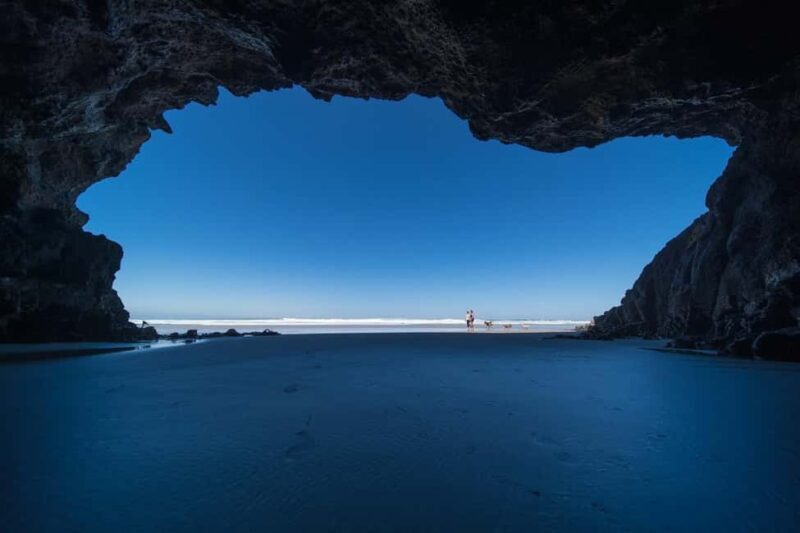 Dunedin City & Otago Peninsula Scenery Day Tour - Who Will Love This Tour?