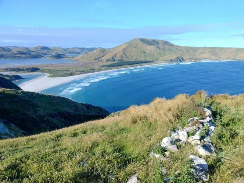 Dunedin City & Otago Peninsula Scenery Day Tour - Final Thoughts