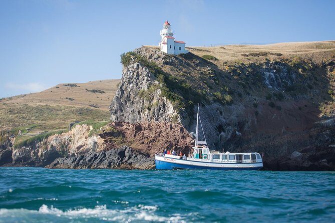 Dunedin City to Sea Wildlife Cruise + Peninsula Bus Tour - Starting Point and Pickup