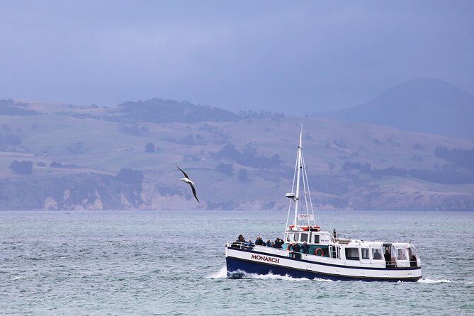 Dunedin City to Sea Wildlife Cruise + Peninsula Bus Tour - Visit Taiaroa Head