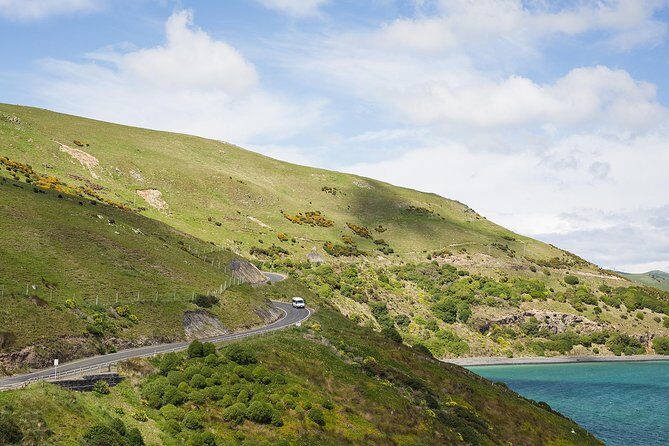 Dunedin City to Sea Wildlife Cruise + Peninsula Bus Tour - Practical Details and Value