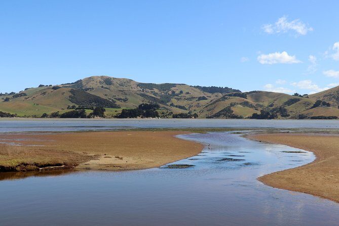Dunedin City, Wildlife and Larnach Castle - A Balanced Look at the Dunedin City, Wildlife, and Larnach Castle Tour