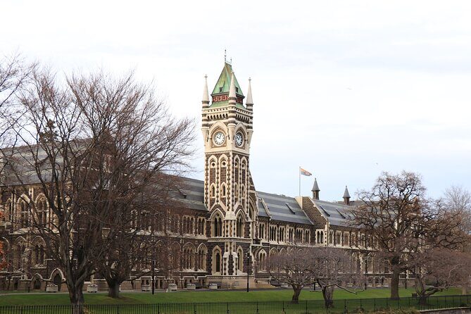 Dunedin City, Wildlife and Larnach Castle - Final Thoughts: Who Is This Tour Best For?