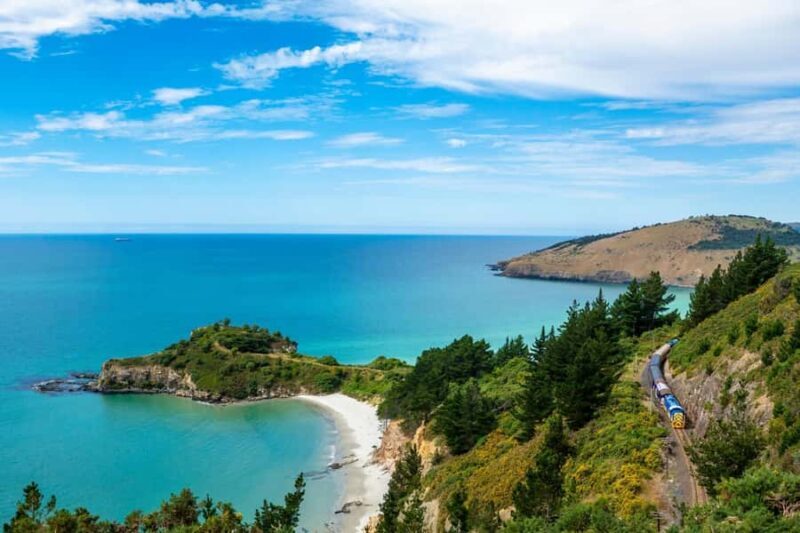 Dunedin Cruise Excursion: Express Coastline Rail Tour - An Introduction to the Scenic Rail Experience in Dunedin