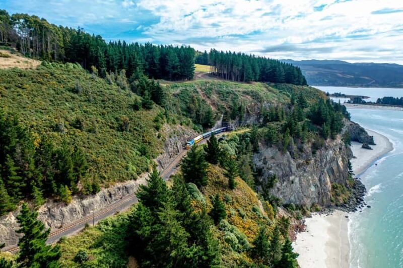 Dunedin Cruise Excursion: Express Coastline Rail Tour - What Travelers Say: Authentic Perspectives