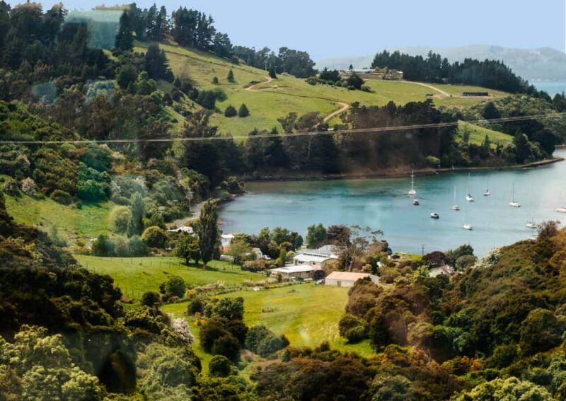 Dunedin Cruise Excursion: Express Coastline Rail Tour - Details That Matter