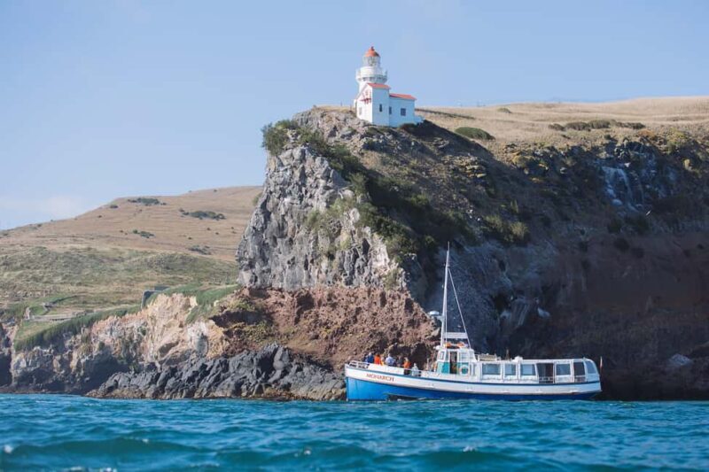 Dunedin: Monarch - One Hour Wildlife Cruise - FAQs