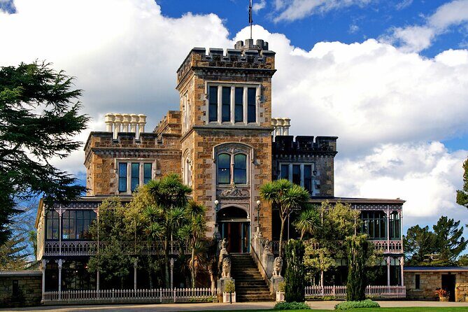 Dunedin Nature and City Tour with Larnach Castle included - Exploring Dunedin: A Practical Guide to the Nature and City Tour with Larnach Castle