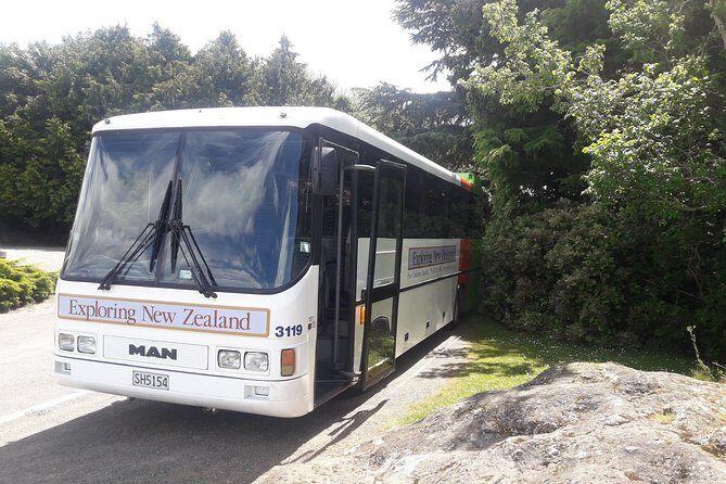 Dunedin Nature & City Tour  Full Day Cruise Excursion - How the Experience Comes Together