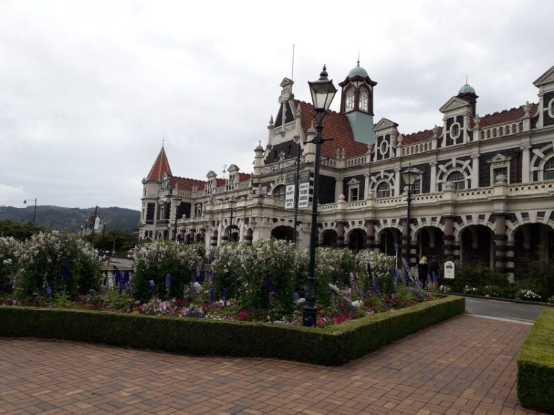 Dunedin: Otago Peninsula with Guided Penguin Tour - Who Is This Tour Best For?
