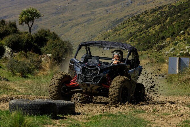 Dunedin Private Tour: City Sights & Otago Peninsula - The Sum Up: Who Should Consider This Tour?