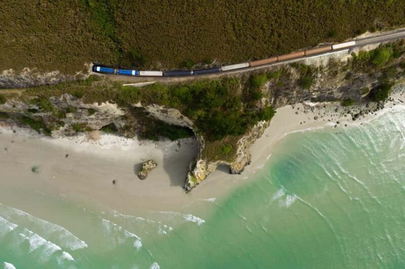 Dunedin: Scenic Railway Tour of Otago's Coastline - The Experience: Why It Stands Out