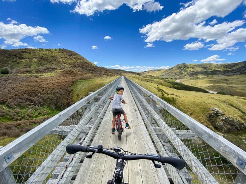 Dunedin: Scenic Railway Tour Through the Taieri Gorge - An Overview of the Taieri Gorge Railway Experience
