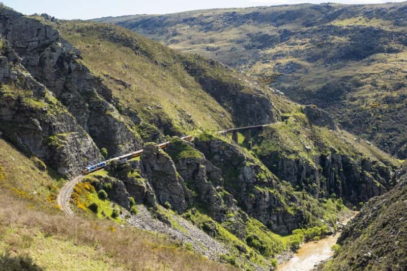 Dunedin: Scenic Railway Tour Through the Taieri Gorge - Authentic Insights from Past Travelers