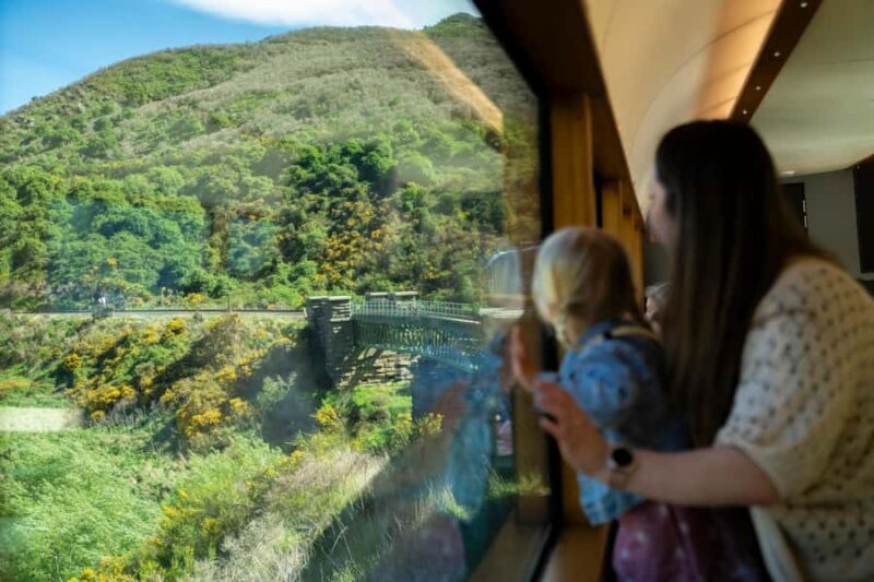 Dunedin: Scenic Railway Tour Through the Taieri Gorge - Who Should Consider This Tour?