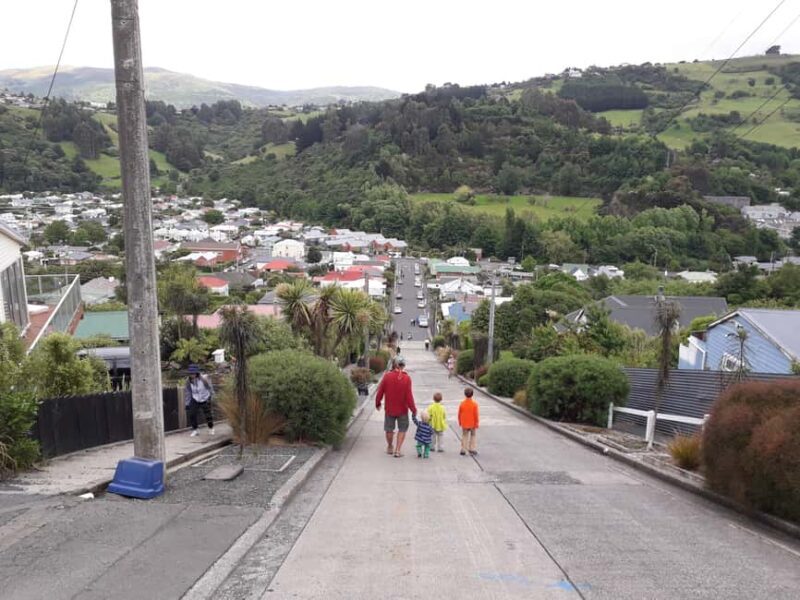 Dunedin: Small Group City Highlights Tour - Why You’ll Love This Tour