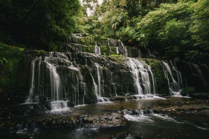 Dunedin to Invercargill via the Catlins (one-way tour) - The Drive and the Scenic Route
