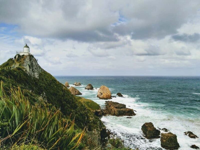 Dunedin to Te Anau via The Catlins & Invercargill 1 Way Tour - Key Points