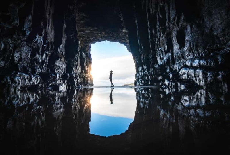 Dunedin to Te Anau via The Catlins & Invercargill 1 Way Tour - A Deep Dive into the Day’s Highlights
