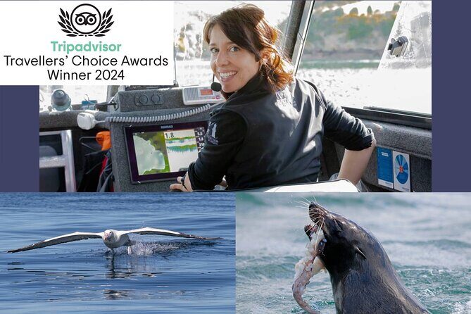 Dunedin Wildlife Cruise-Albatross, seals and harbour - Practical Details You Should Know