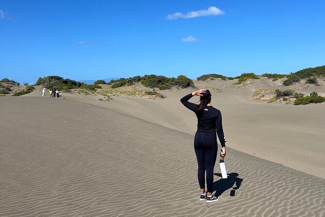 Dunes Snorkeling Tour Outside Santo Domingo - Key Points