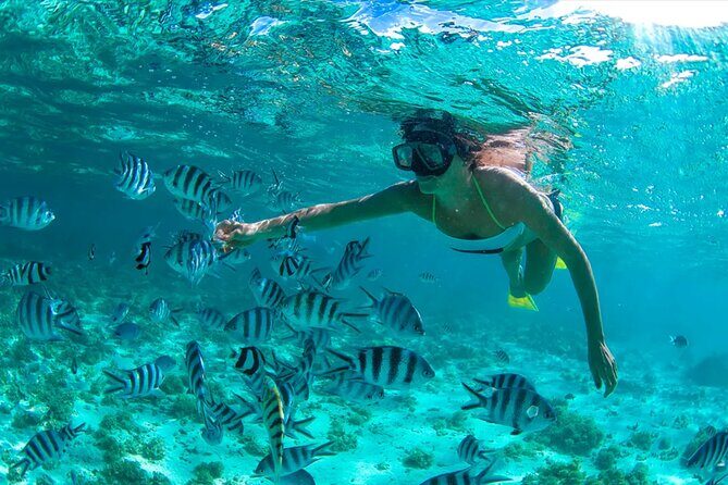 Dunes Snorkeling Tour Outside Santo Domingo - What’s Included and What’s Not