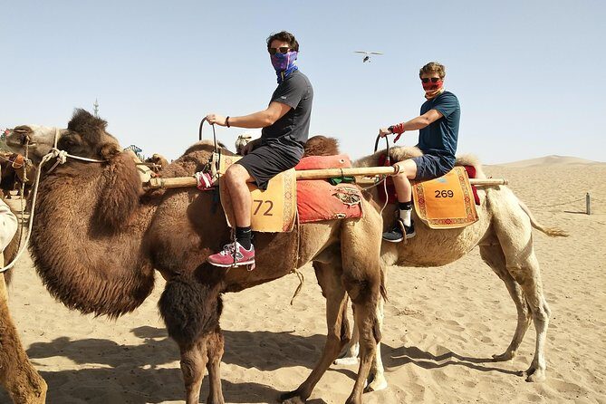 Dunhuang Private Camel Riding in the Gobi Desert - Authenticity and Quality of the Experience