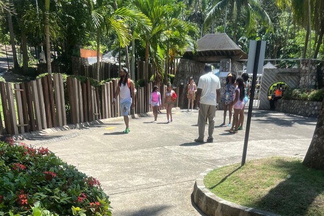 Dunn River Falls from Montego Bay Private Tour - Key Points