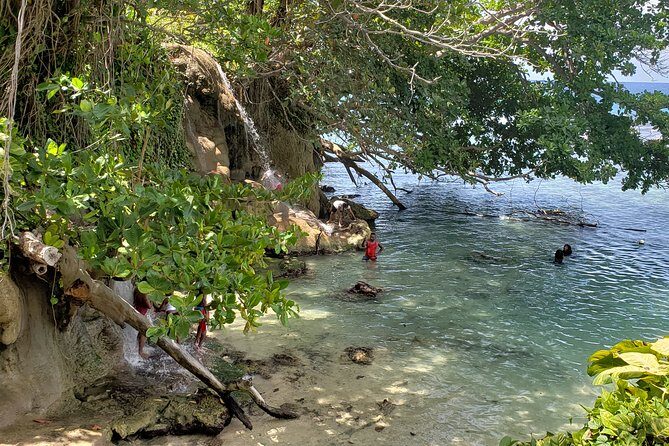 Dunn's Falls and Blue Hole Daytrip with Lunch from Montego Bay & Trelawny - Who Will Benefit Most from This Tour?