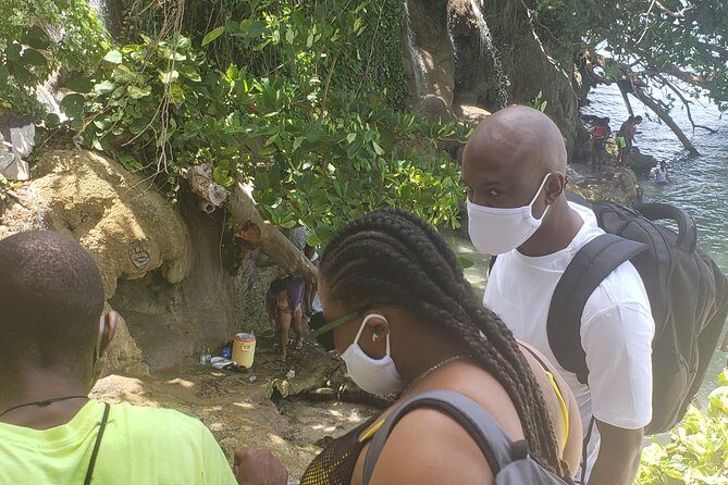 Dunn's Falls Half-Day Tour from Runaway Bay - Exploring Dunns River Falls: What to Expect