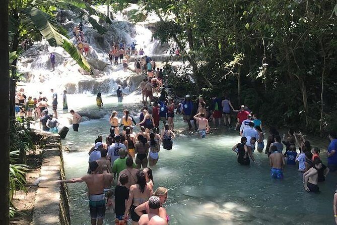 Dunn's River & Blue Hole Combo (from Montego Bay) - An In-Depth Look at the Dunn’s River & Blue Hole Combo Tour