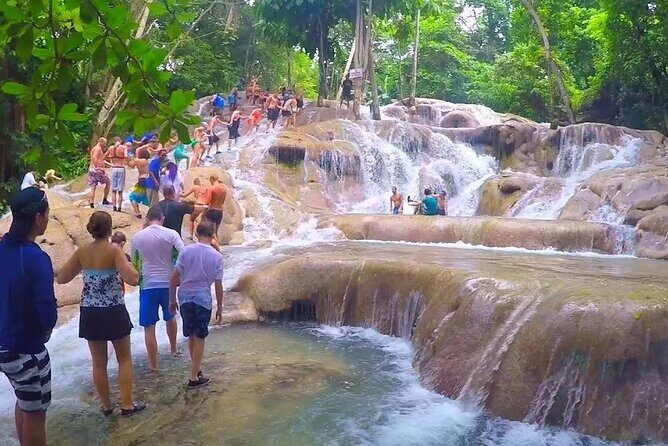Dunns River Falls Adventure from Montego Bay - Key Points
