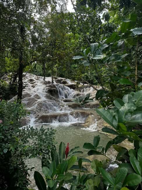 Dunns River Falls Adventure Tour - Final Thoughts: Who Should Consider This Tour?