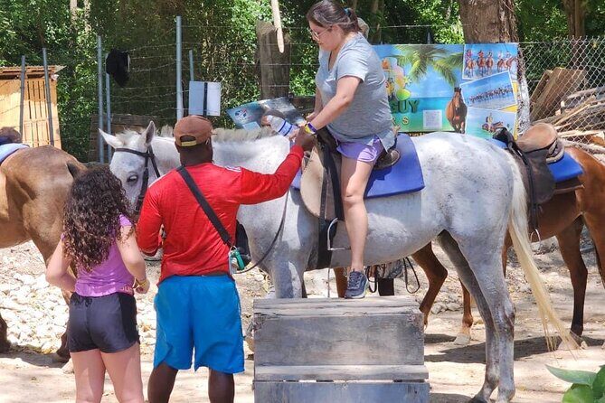 Dunns River Falls and Blue Hole Tour - Transportation and Group Dynamics