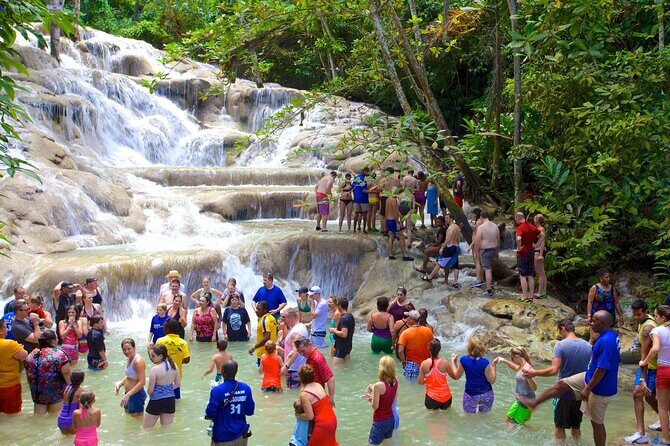 Dunn's River Falls and Blue Hole Tour from Montego Bay - Transportation and Overall Value