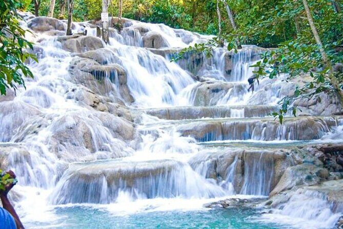 Dunn's River Falls and Bob Marley Mausoleum - Practical Details and Value