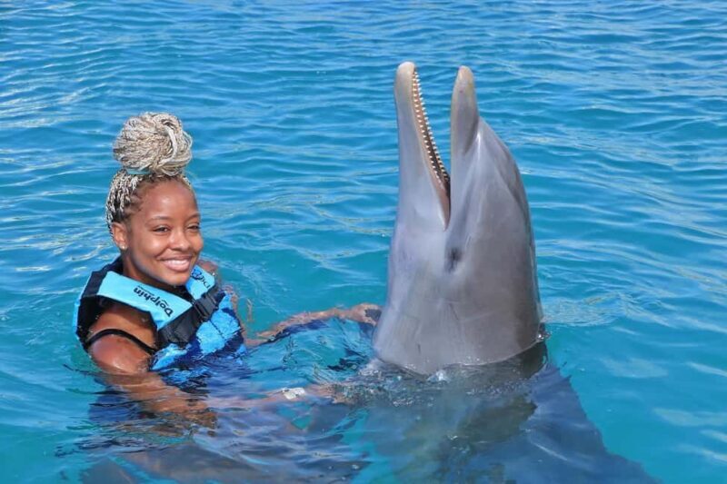 Dunns River Falls and Dolphin Cove Swim Adventure - Authentic Experiences and Traveler Feedback